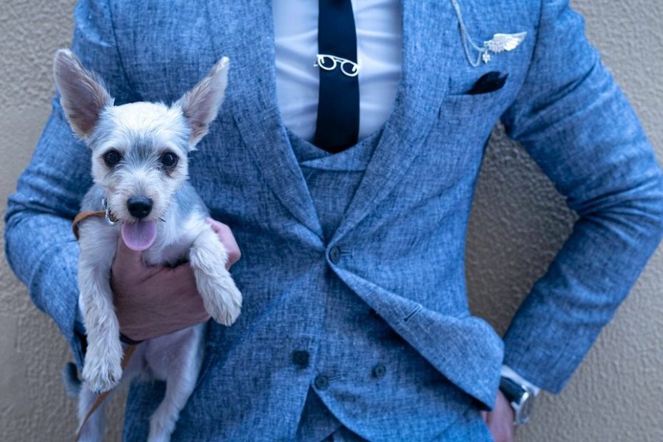 Best Tailor 24 - Best Tailor @24